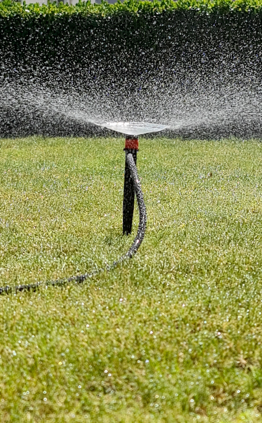 Adjustable Vortex Sprayer With Spike – The Water Sprinkler Shop